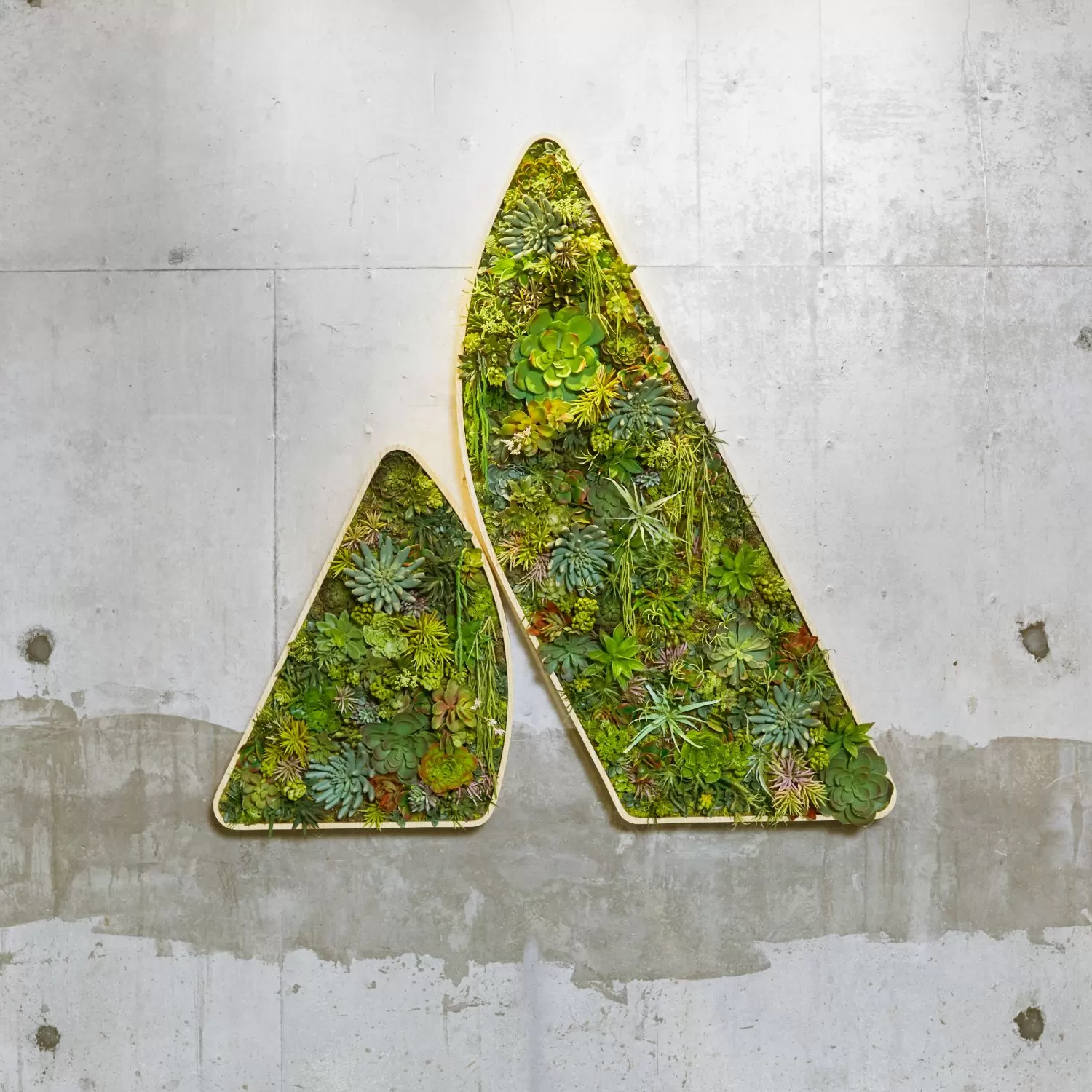 Atlassian Inc | Great Place To Work®