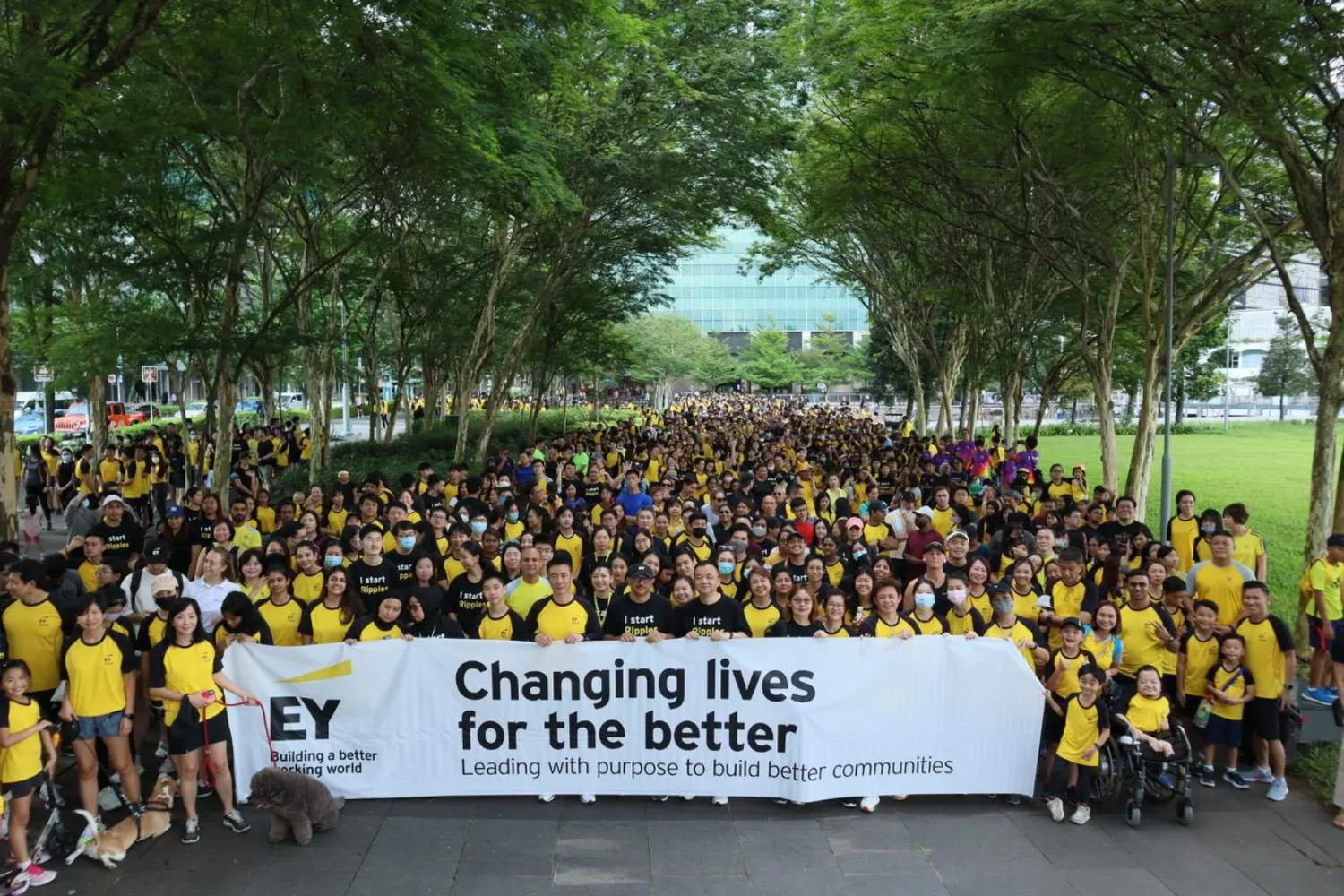 EY | Great Place To Work®