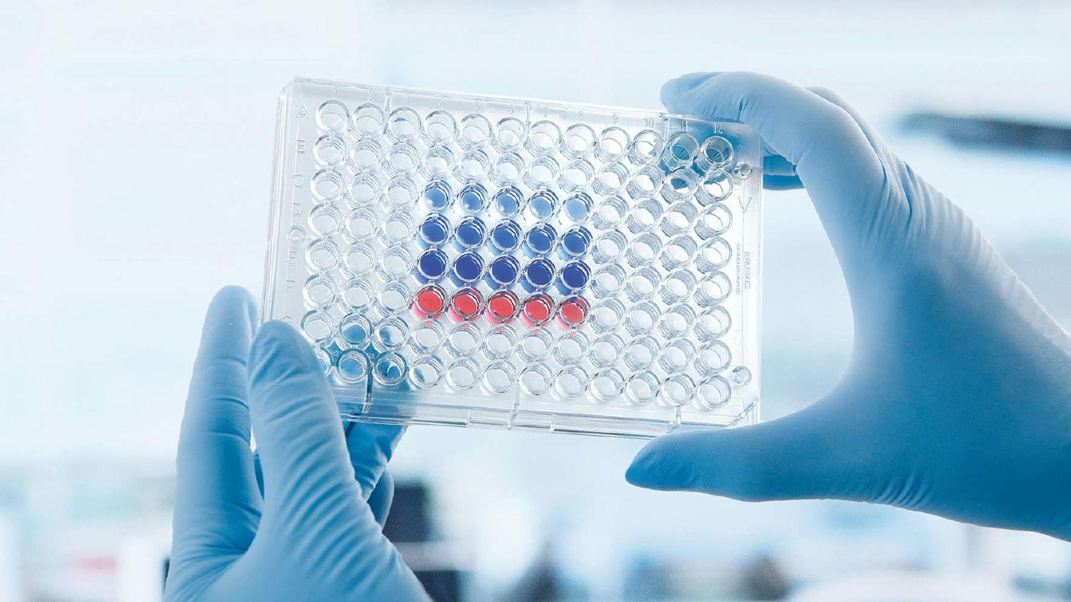 Working at QIAGEN | Great Place To Work®