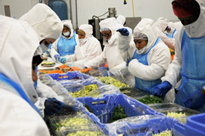 Working at F&S Fresh Foods | Great Place To Work®