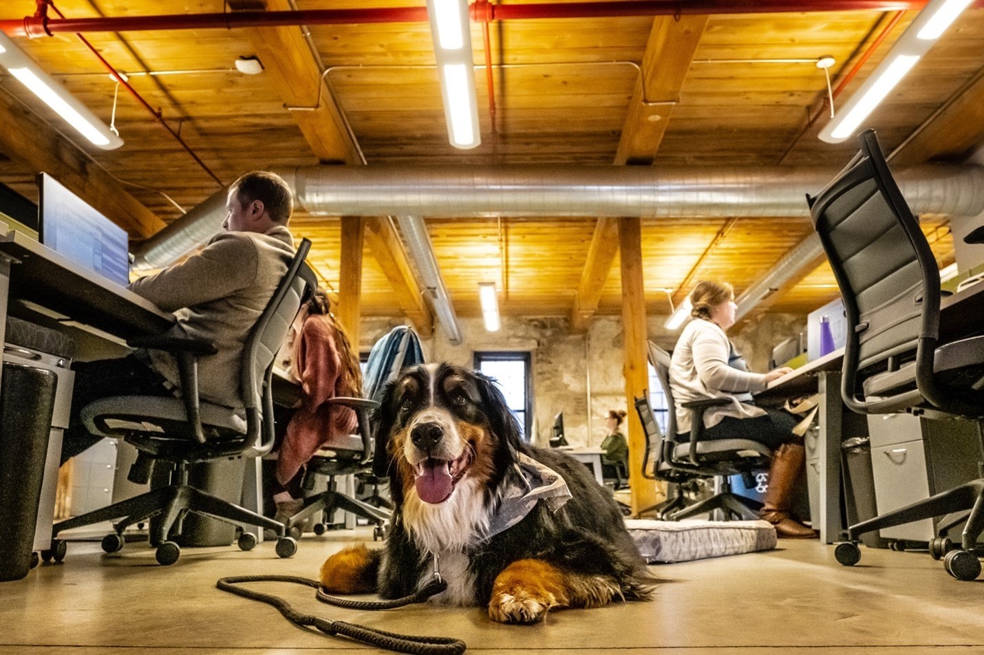 Working at BioVid | Great Place To Work®