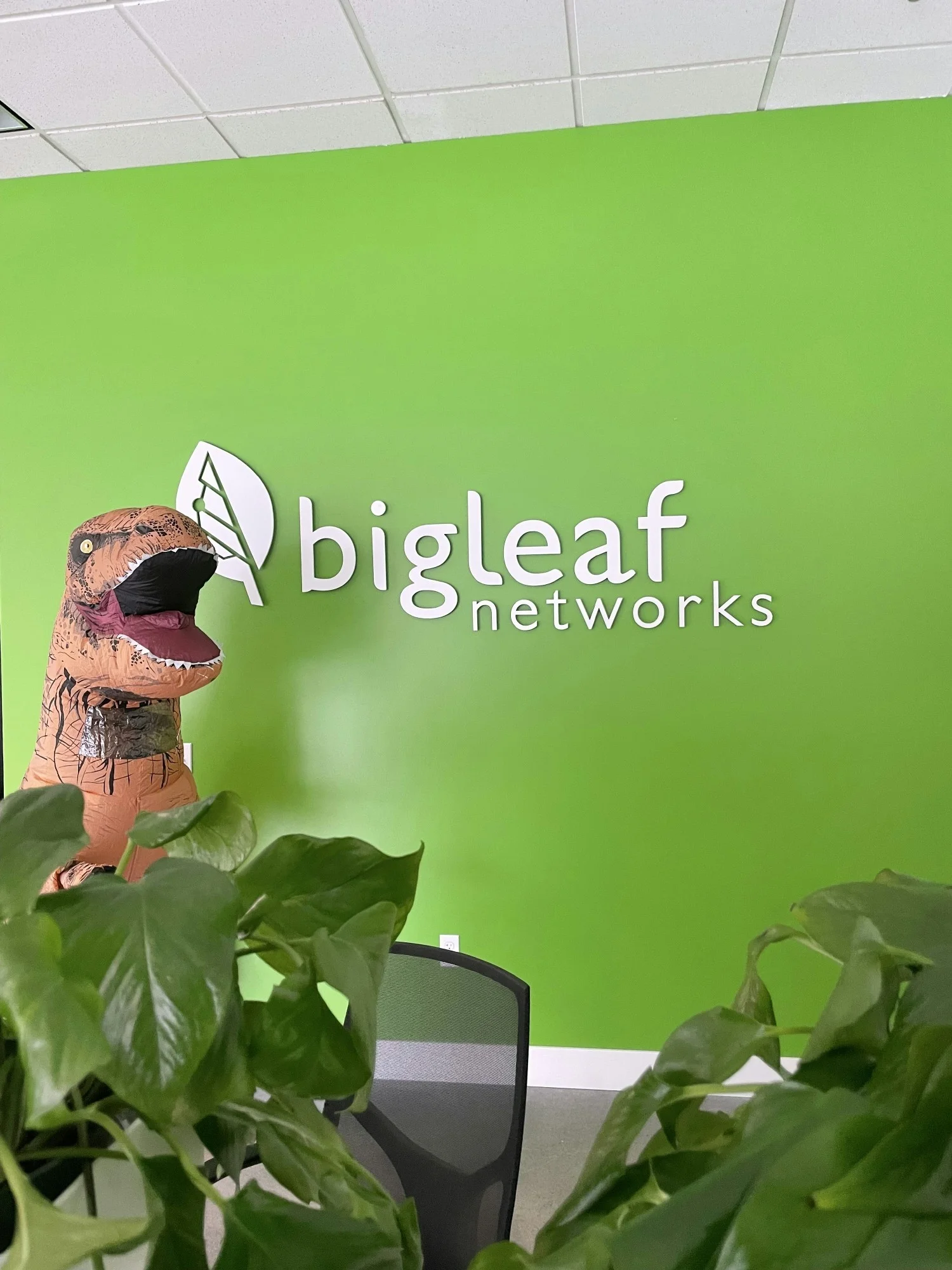 Working at Bigleaf Networks | Great Place To Work®
