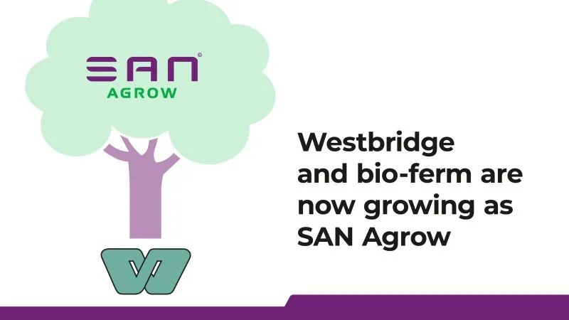 Working at SAN Agrow | Great Place To Work®