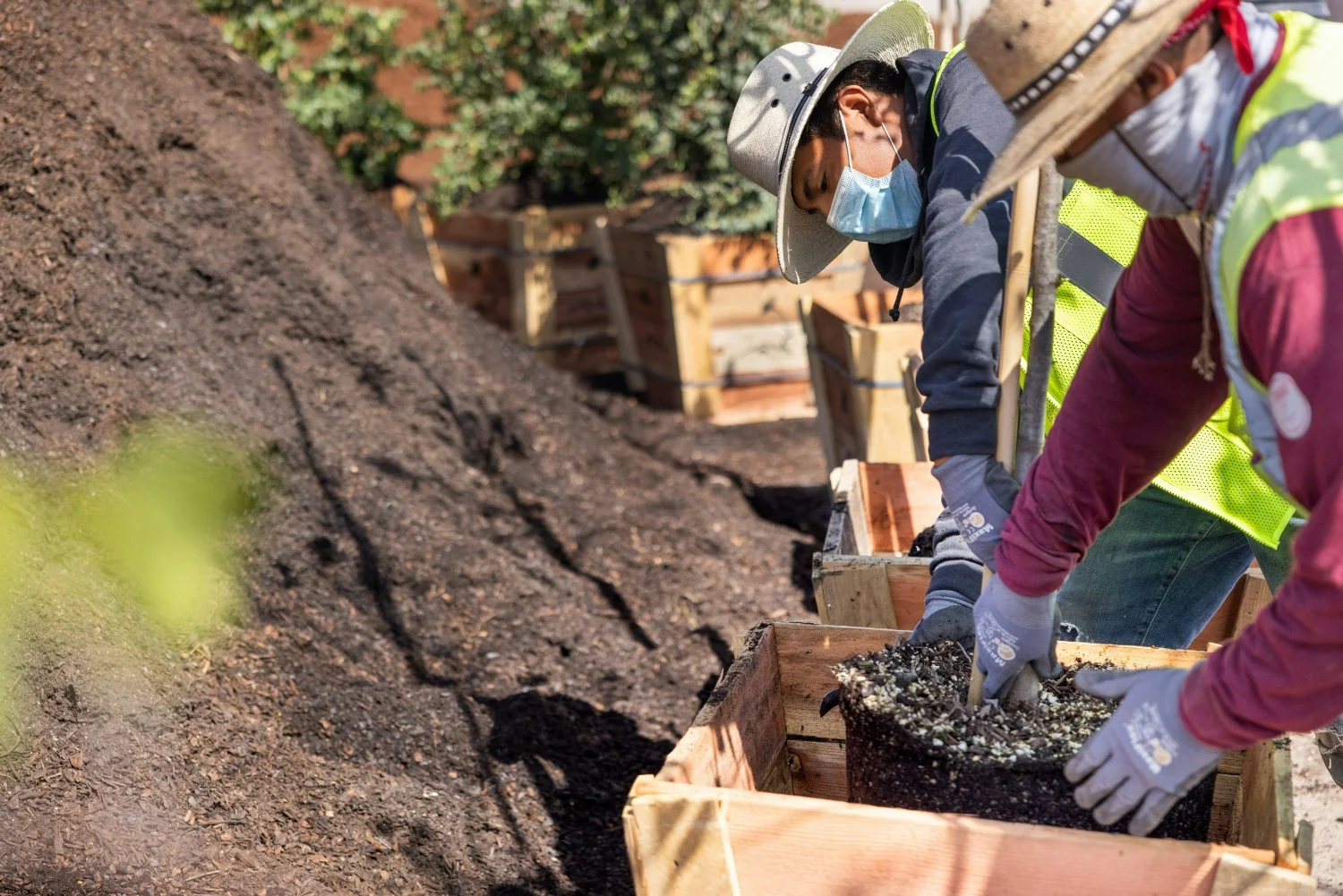 Working at Devil Mountain Wholesale Nursery | Great Place To Work®