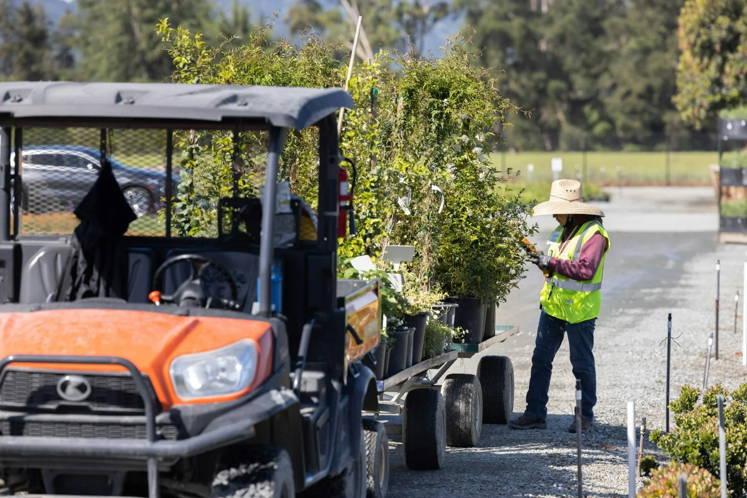Working at Devil Mountain Wholesale Nursery | Great Place To Work®