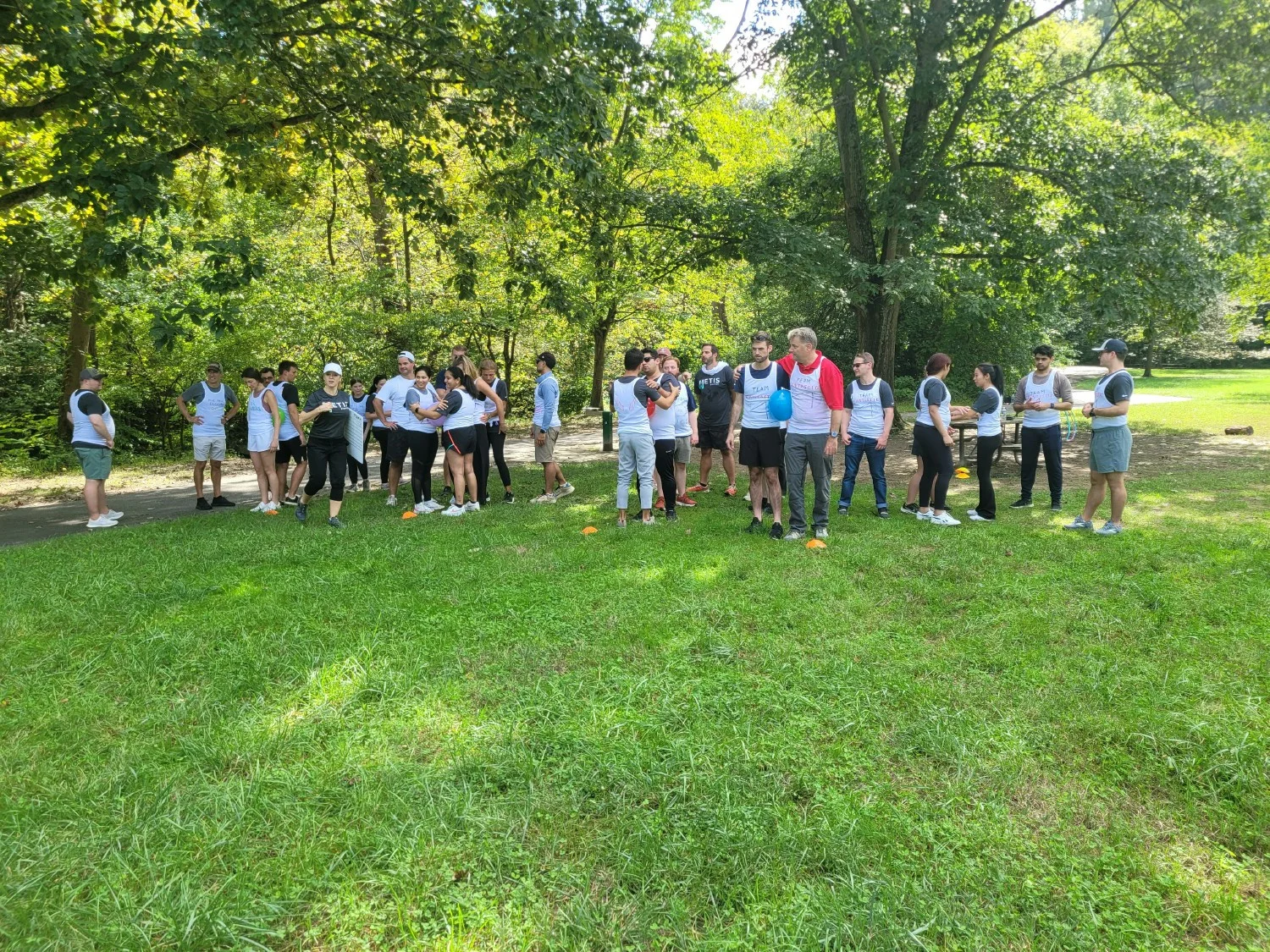 Working at Metis Strategy | Great Place To Work®