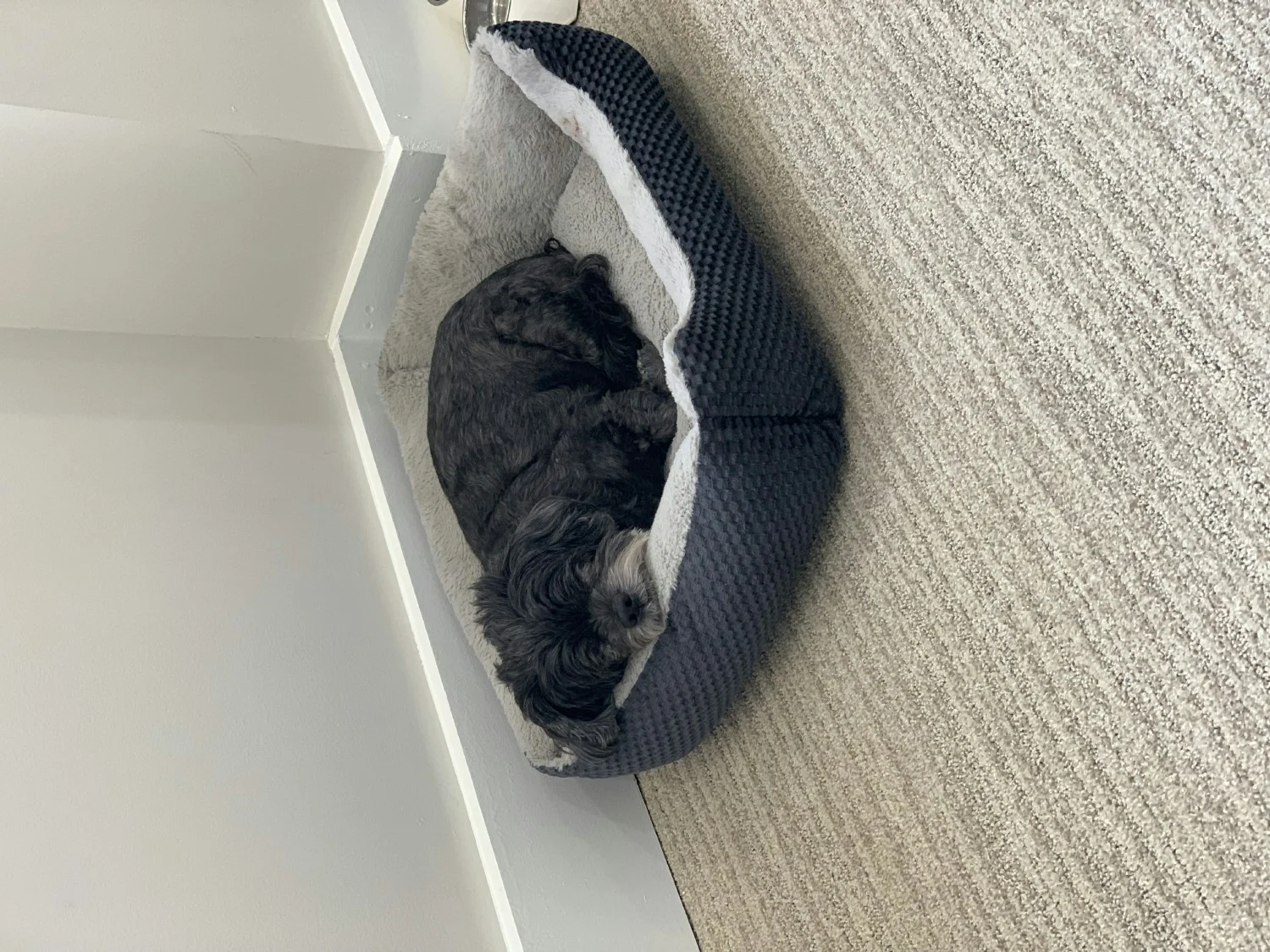 Working at Viewpoint Screening | Great Place To Work®