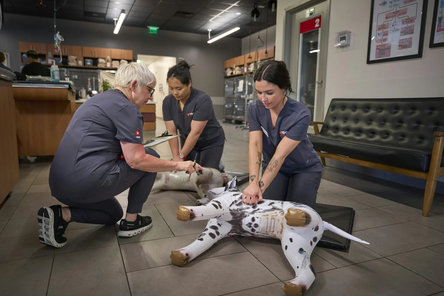 Working at VEG ER for Pets | Great Place To Work®